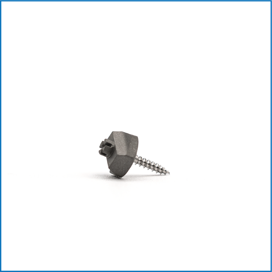 Ultimate Fiducial Marker: Dental Imaging with ArchTracer – Digital ...